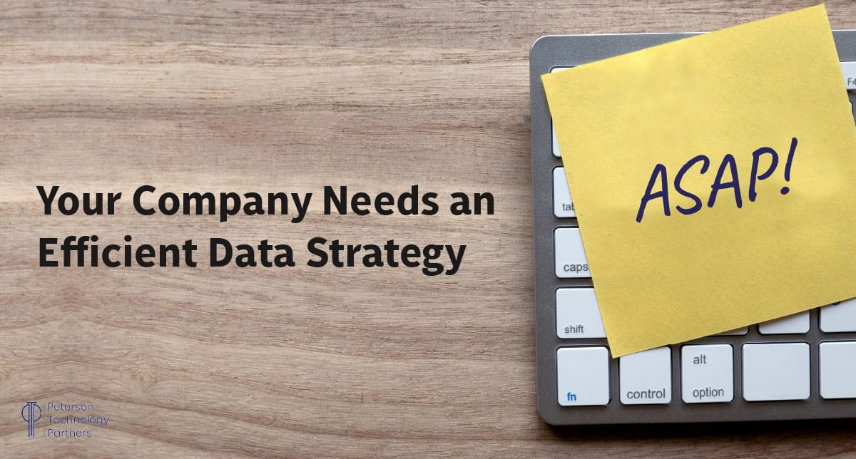Your Company Needs an Efficient Data Strategy, ASAP - Peterson ...