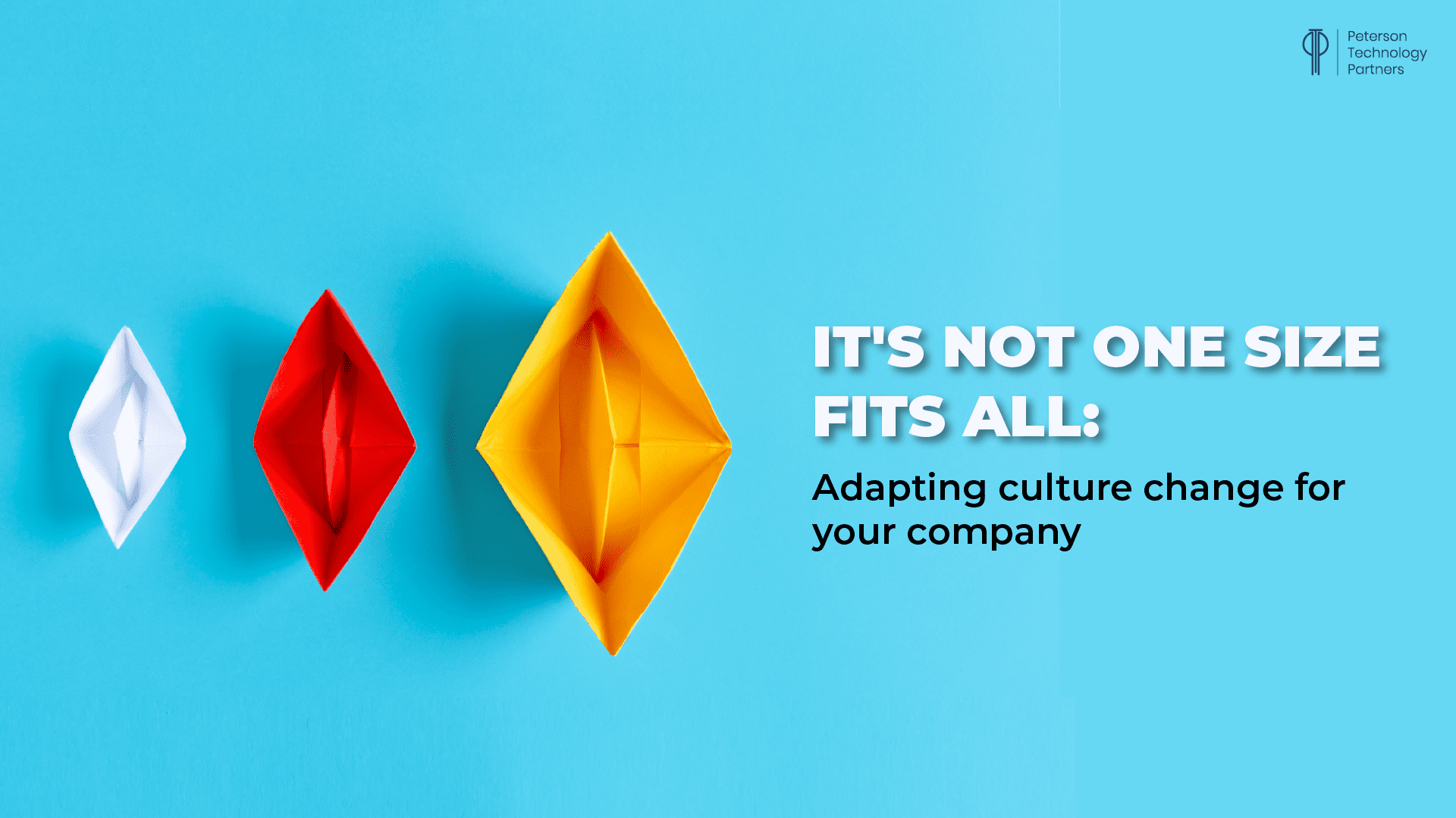 It's Not One Size Fits All: Adapting Culture Change for Your Company ...